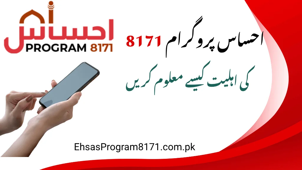 8171 Web Portal | Check Your CNIC Online 2025